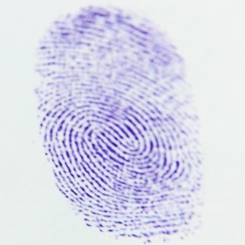 Home - Air Bio Health